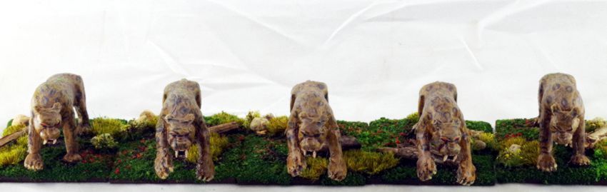 Dire Tigers - Sally 4th 28mm Fantasy & Gaming Miniatures