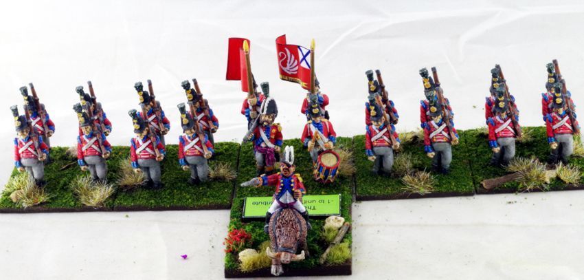 Quadling Infantry Regiment with Command – Northern Province - Sally 4th ...