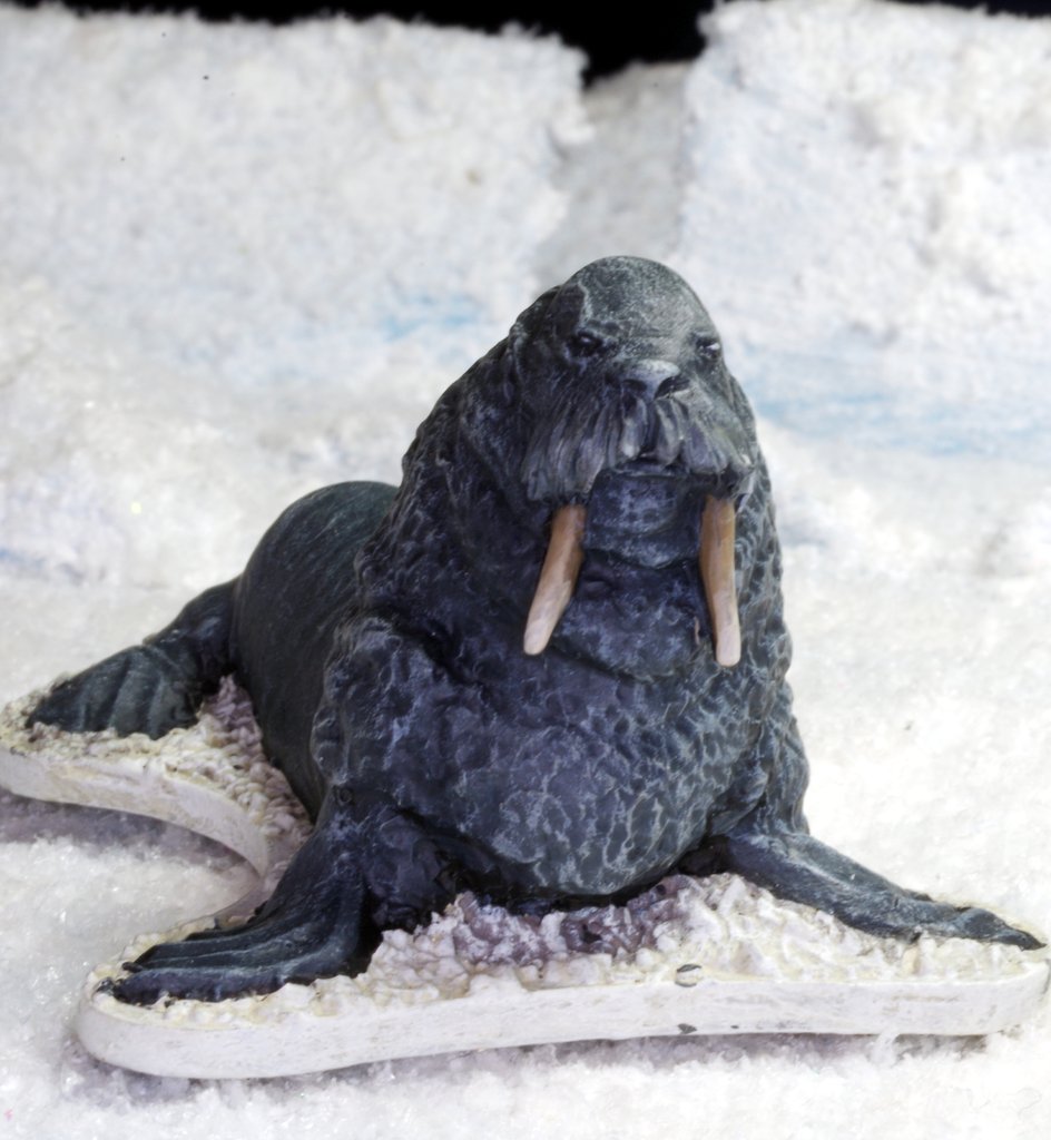 The Walrus - Sally 4th 28mm Fantasy & Gaming Miniatures